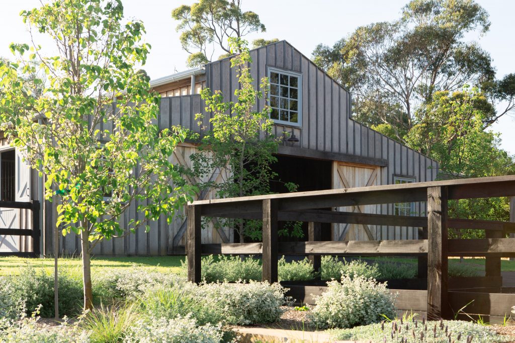 Forestview Stables - Cadence & Co